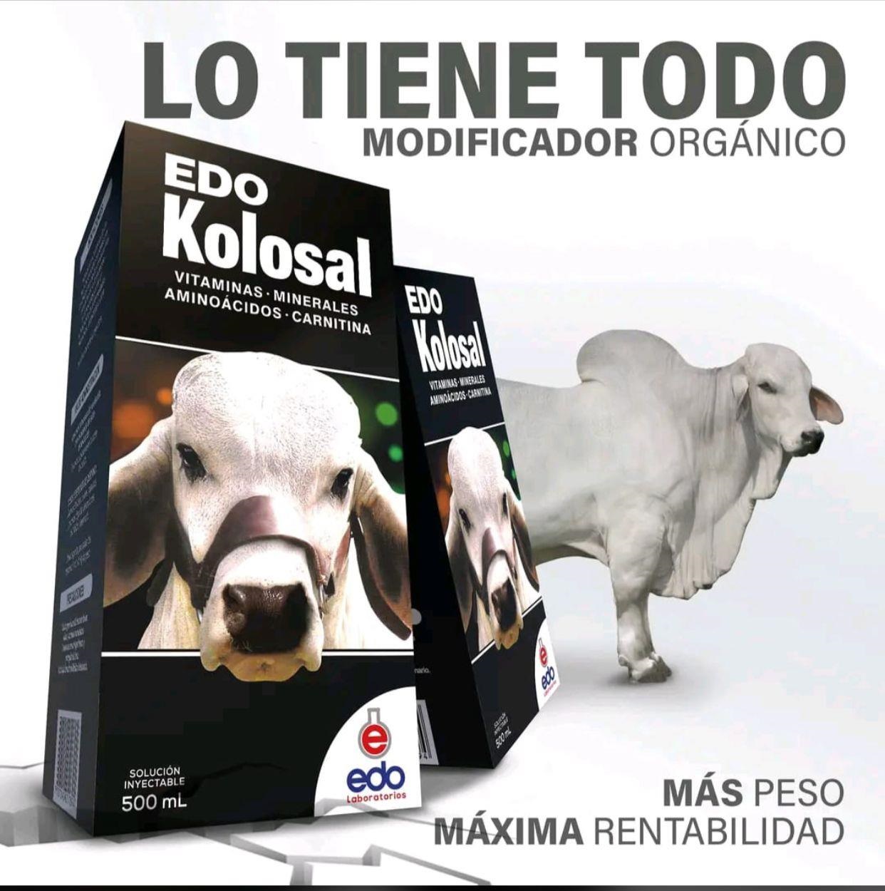 MODIFICADORES EDO KOLOSAL - INSUMOS PARA EL CAMPO